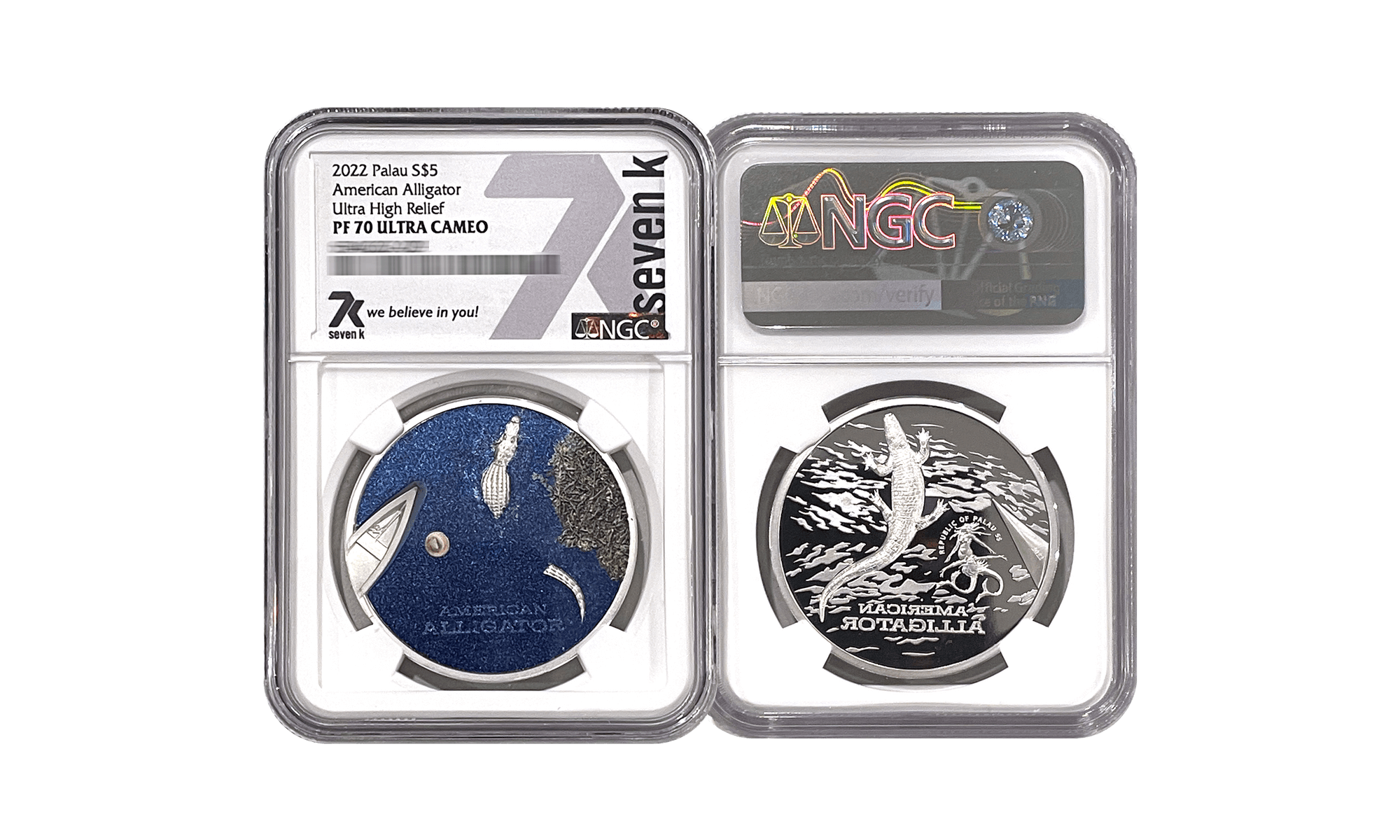 Split Views Coin Collection