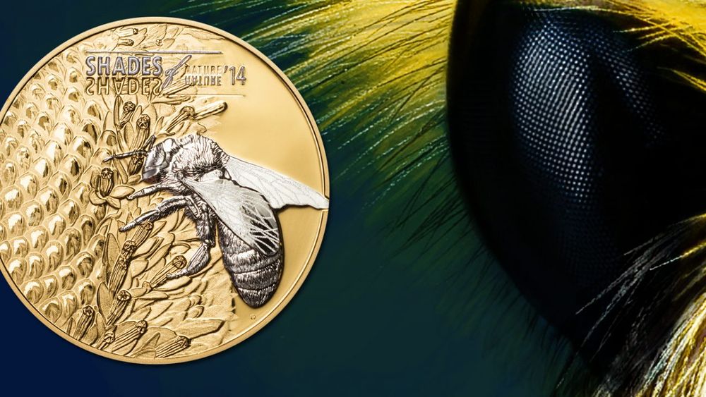 Shades of Nature Coin Collection