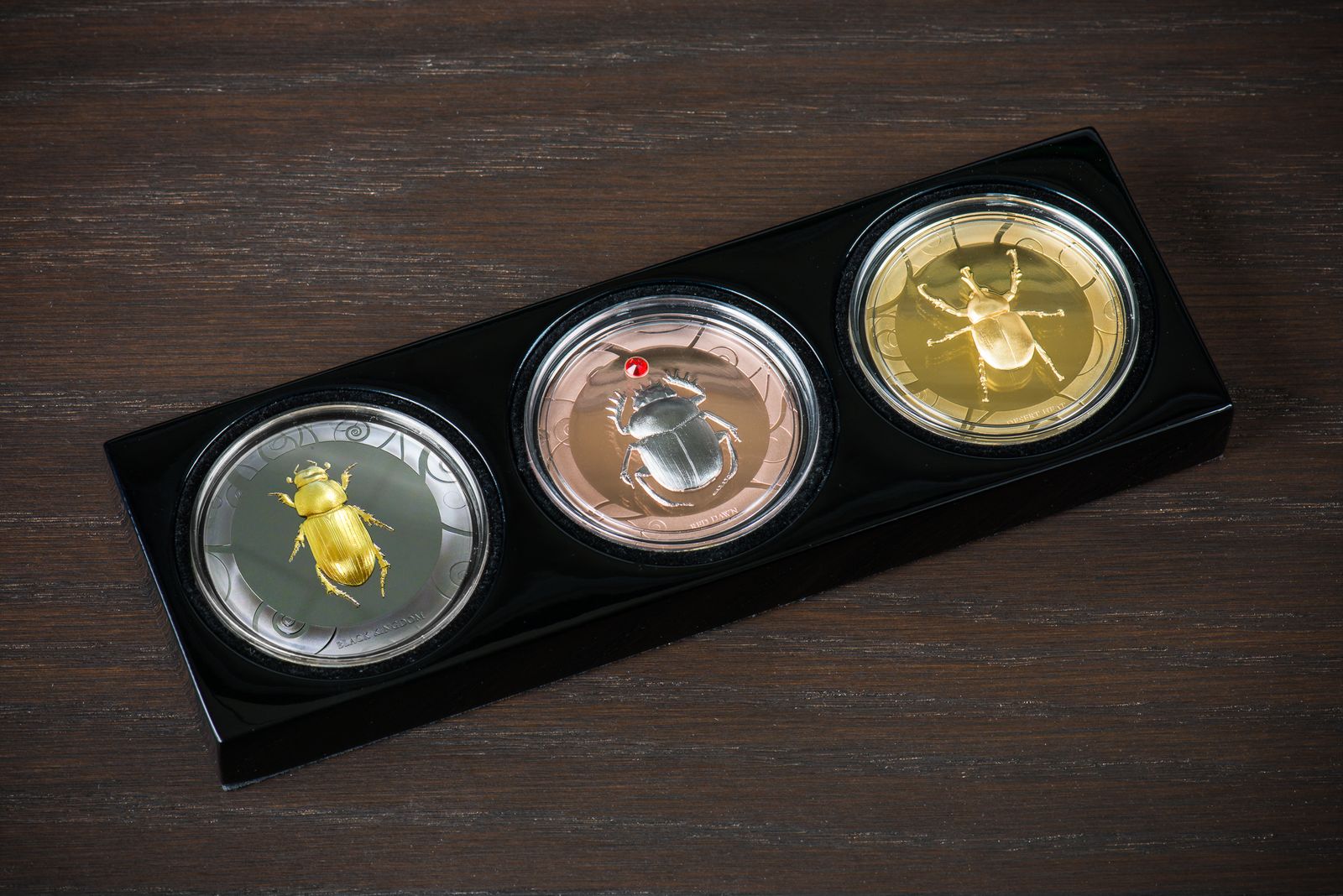 Scarab Coin Collection