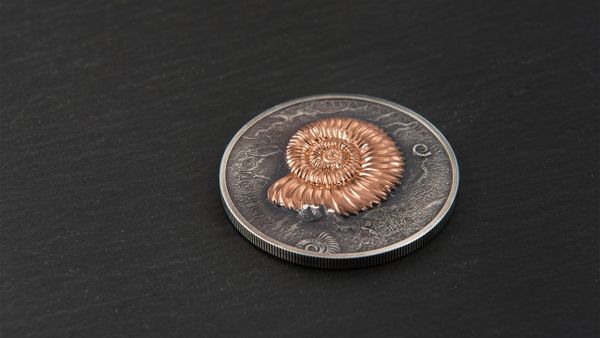 Evolution of Life Coin Series