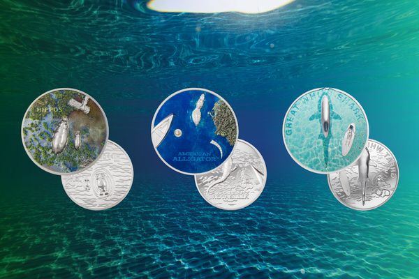 Split Views Coin Collection